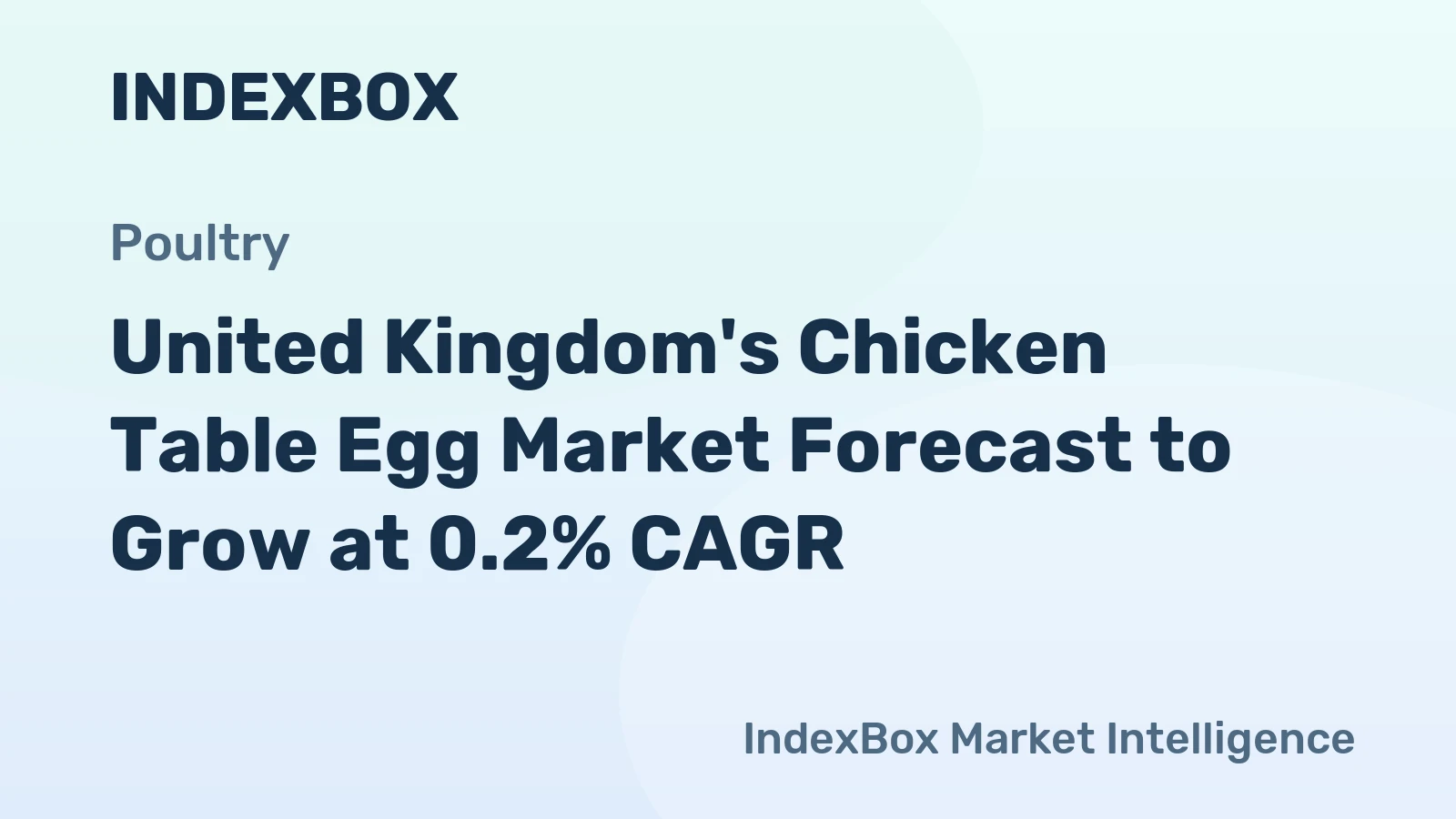 United Kingdom's Chicken Table Egg Market Forecast to Grow at 0.2% CAGR