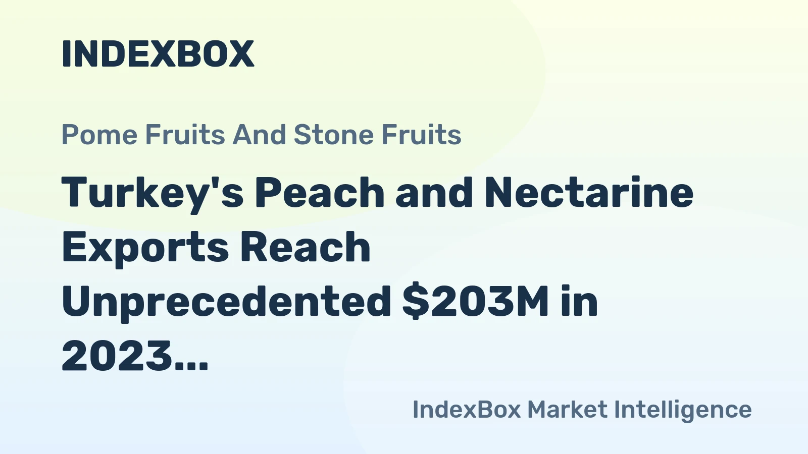 Turkey's Peach and Nectarine Exports Reach Unprecedented $203M in 2023