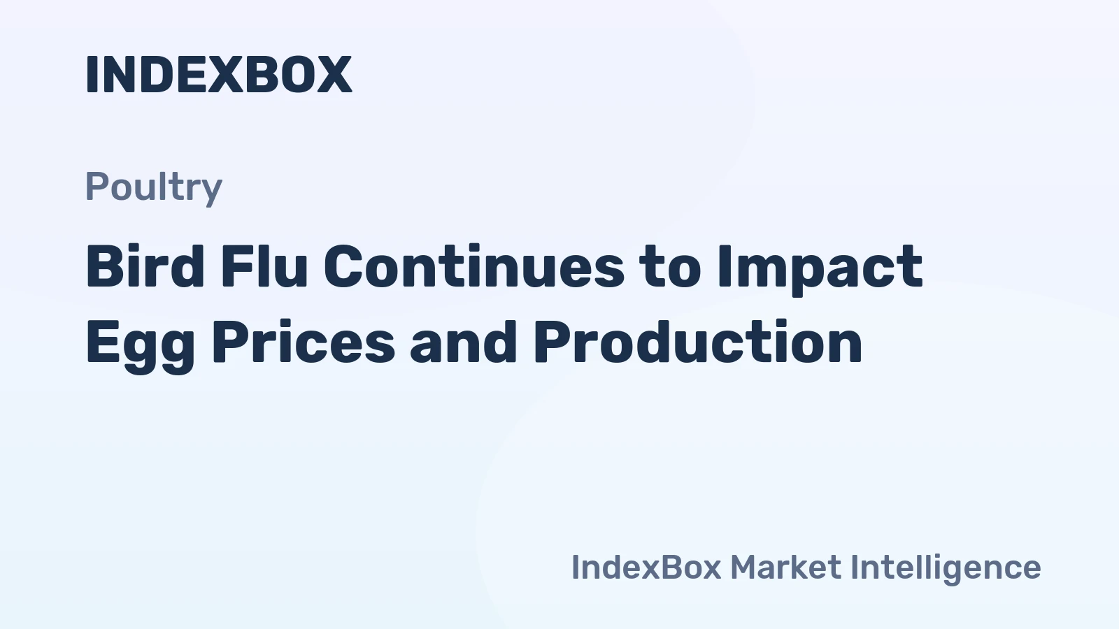 Bird Flu Continues to Impact Egg Prices and Production
