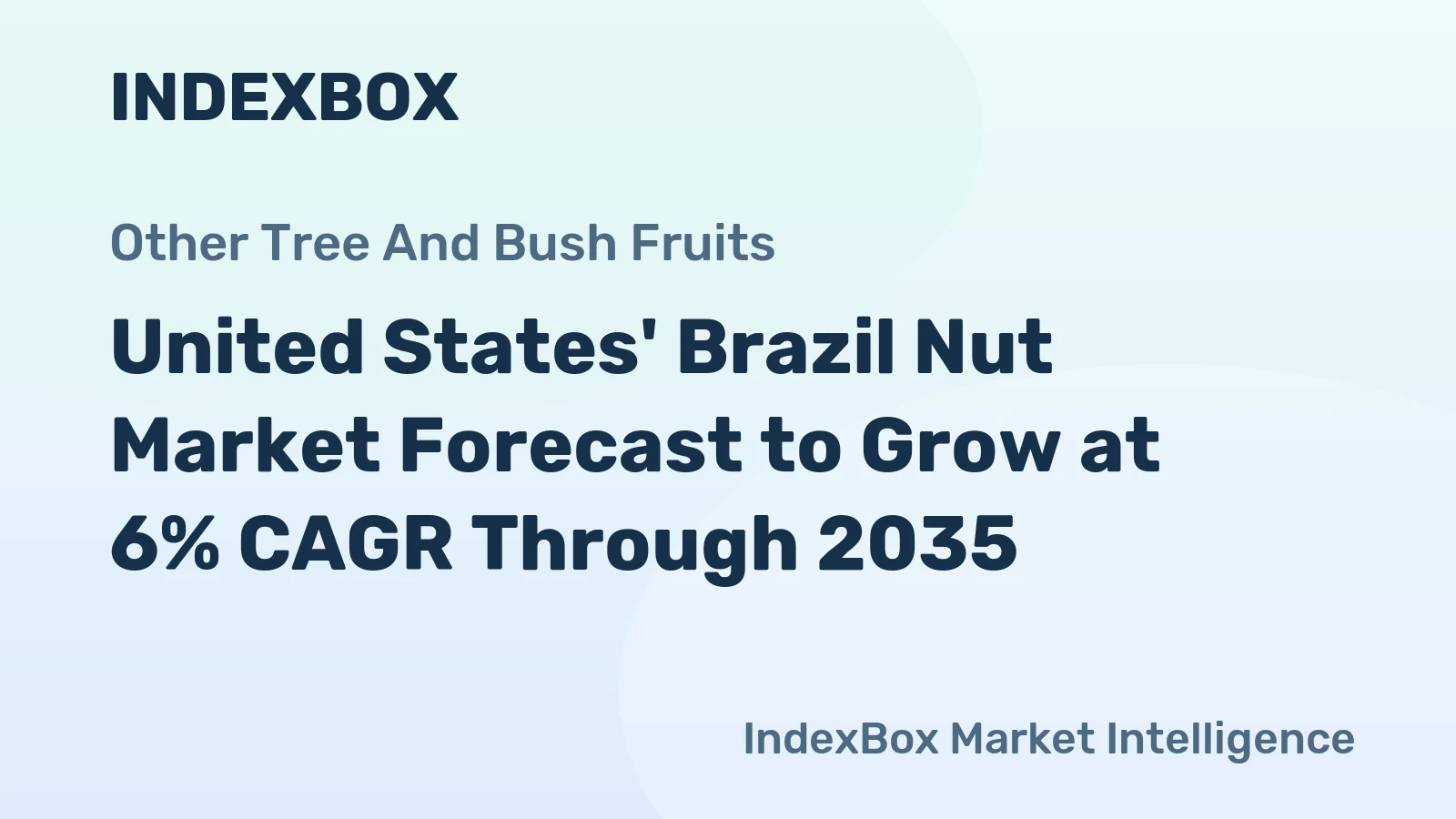 United States' Brazil Nut Market Forecast to Grow at 6% CAGR Through 2035