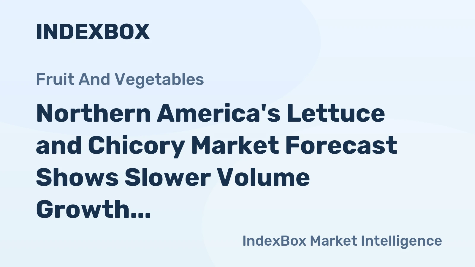 Northern America's Lettuce and Chicory Market Forecast Shows Slower Volume Growth at +0.5% CAGR but Stronger Value Gains