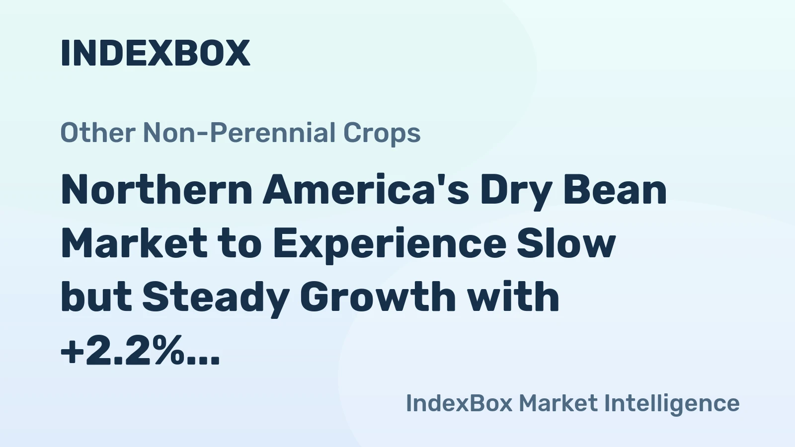 Northern America's Dry Bean Market to Experience Slow but Steady Growth with +2.2% CAGR