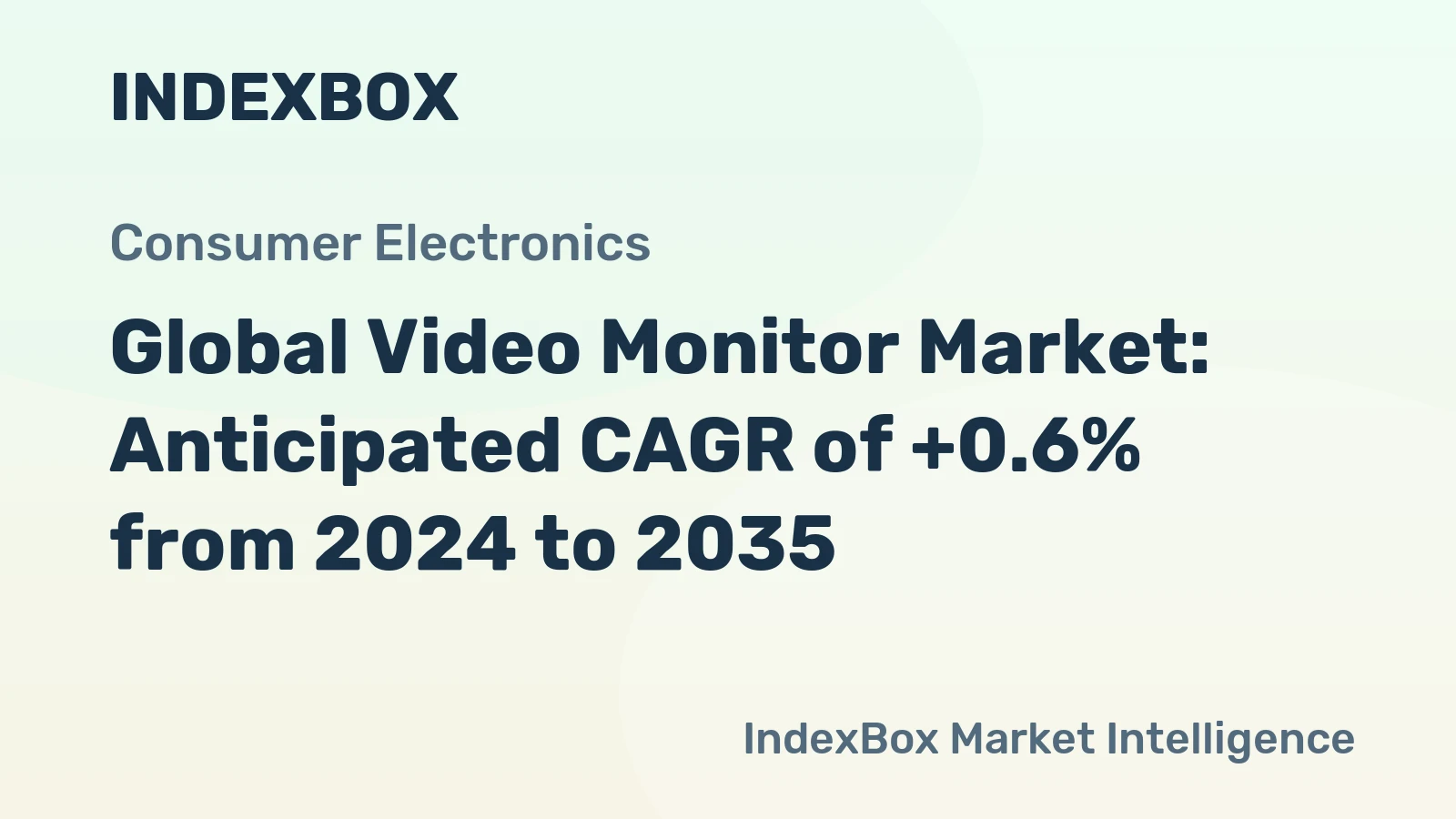 Global Video Monitor Market: Anticipated CAGR of +0.6% from 2024 to 2035
