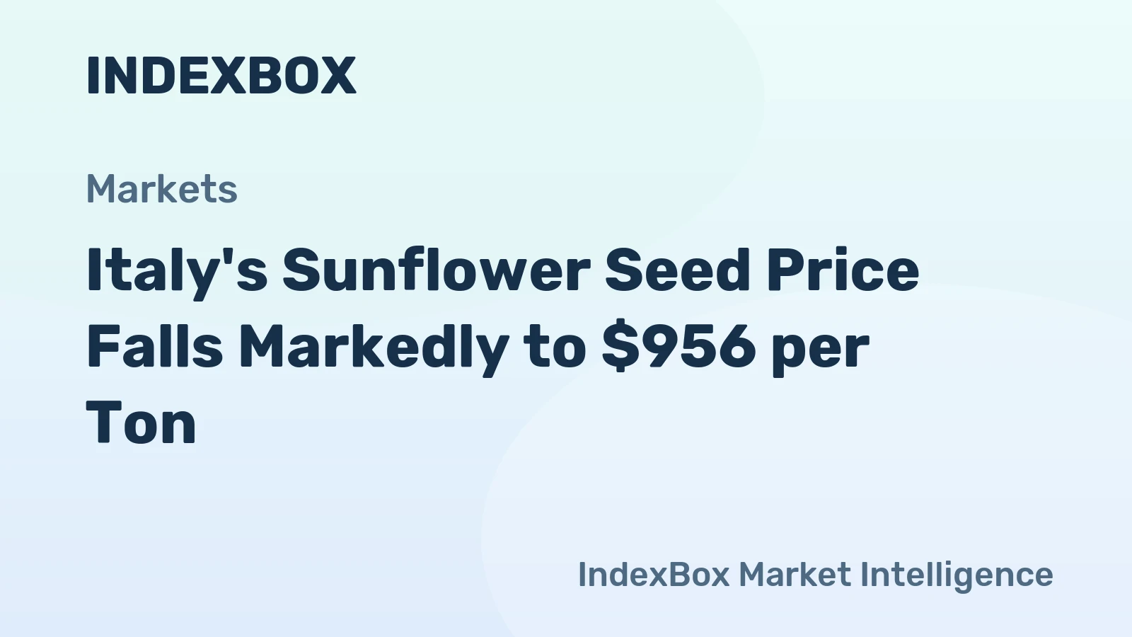 Italy's Sunflower Seed Price Falls Markedly to $956 per Ton