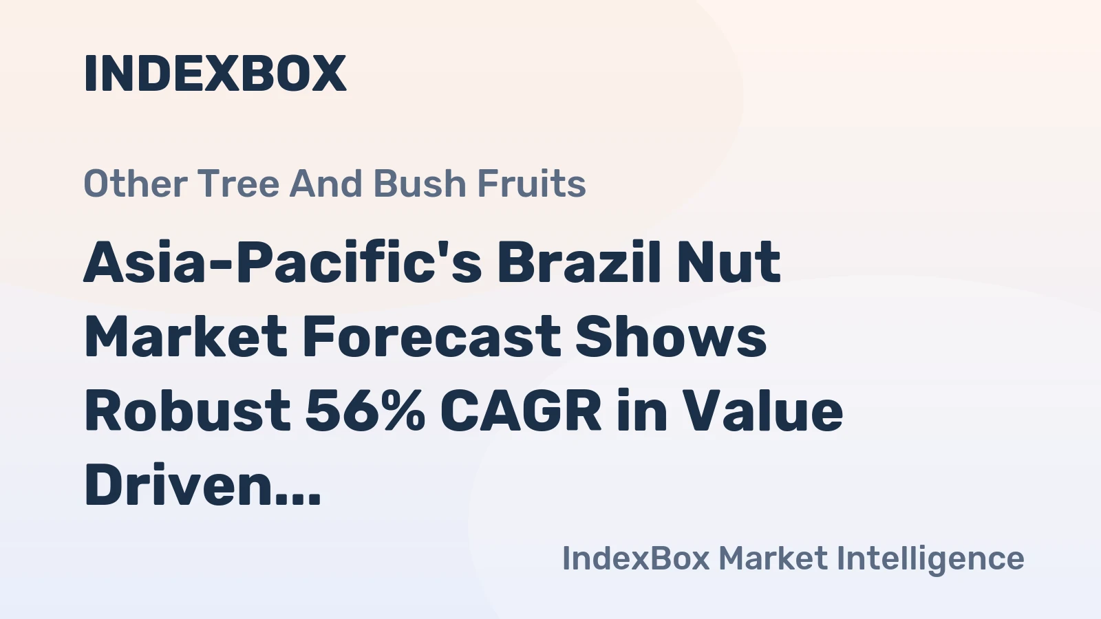 Asia-Pacific's Brazil Nut Market Forecast Shows Robust 56% CAGR in Value Driven by Surging Import Demand