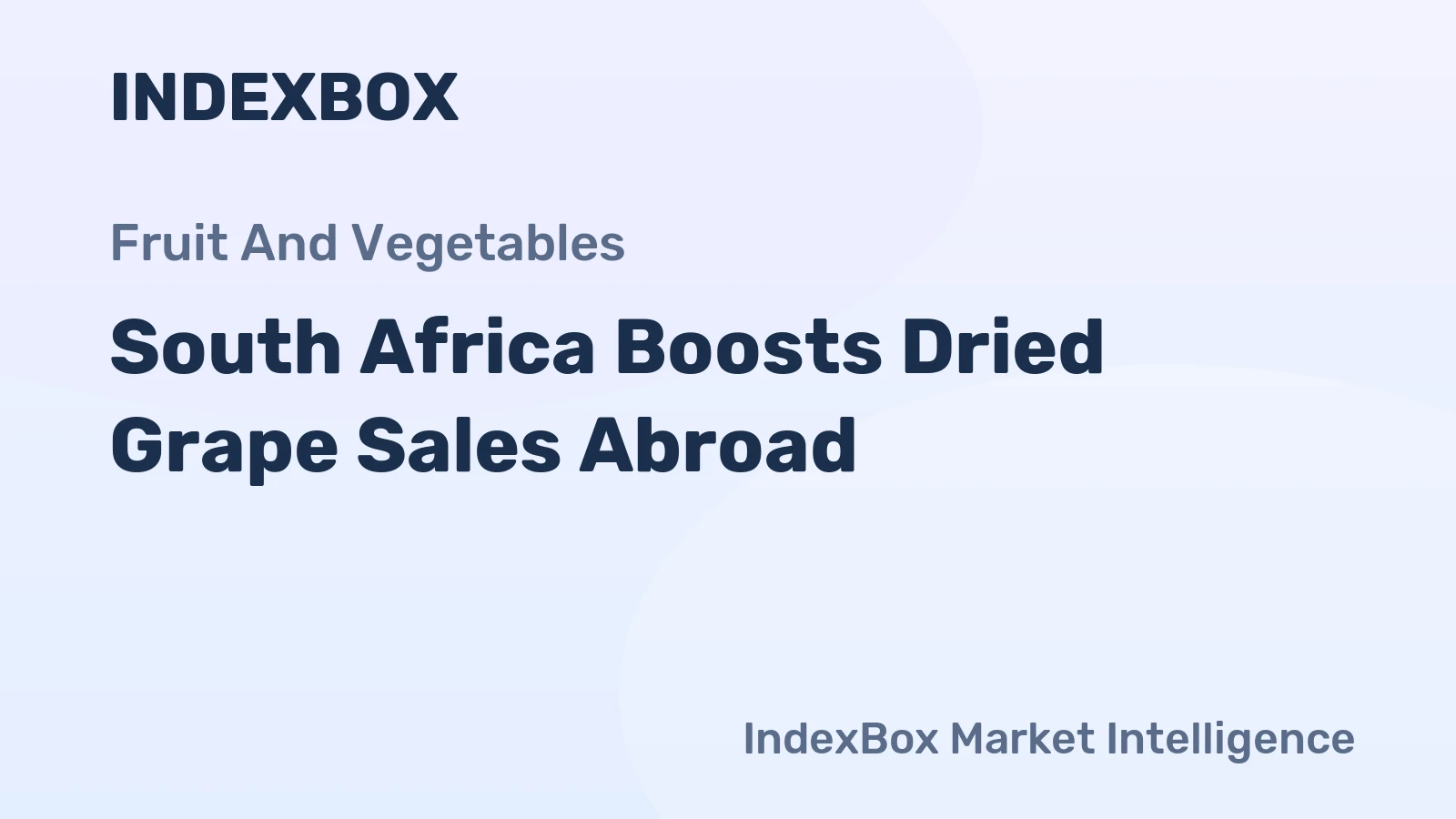 South Africa Boosts Dried Grape Sales Abroad