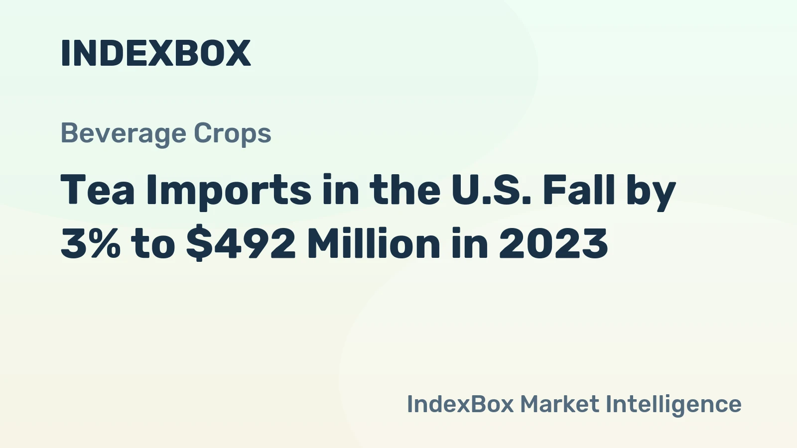 Tea Imports in the U.S. Fall by 3% to $492 Million in 2023