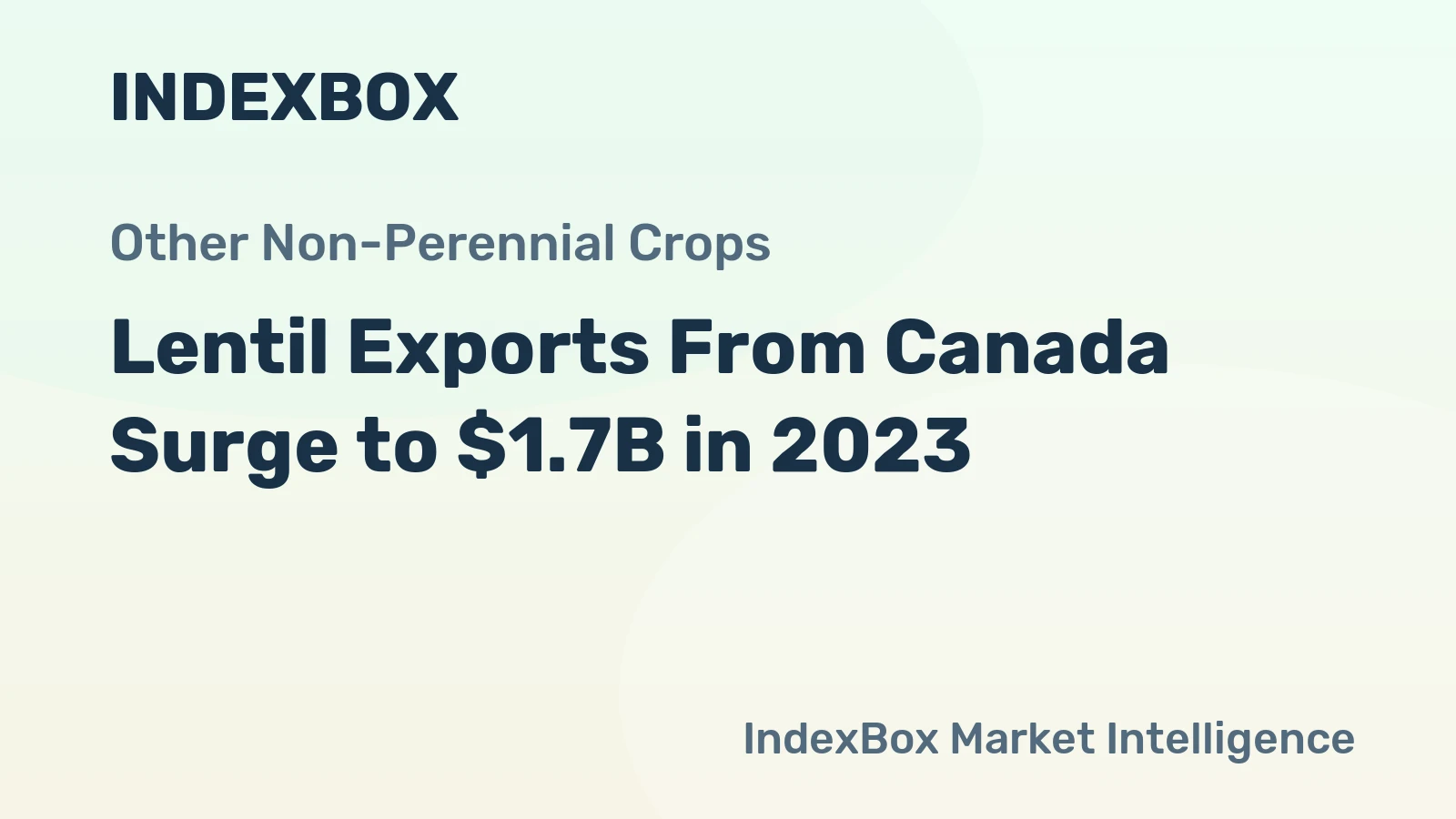 Lentil Exports From Canada Surge to $1.7B in 2023