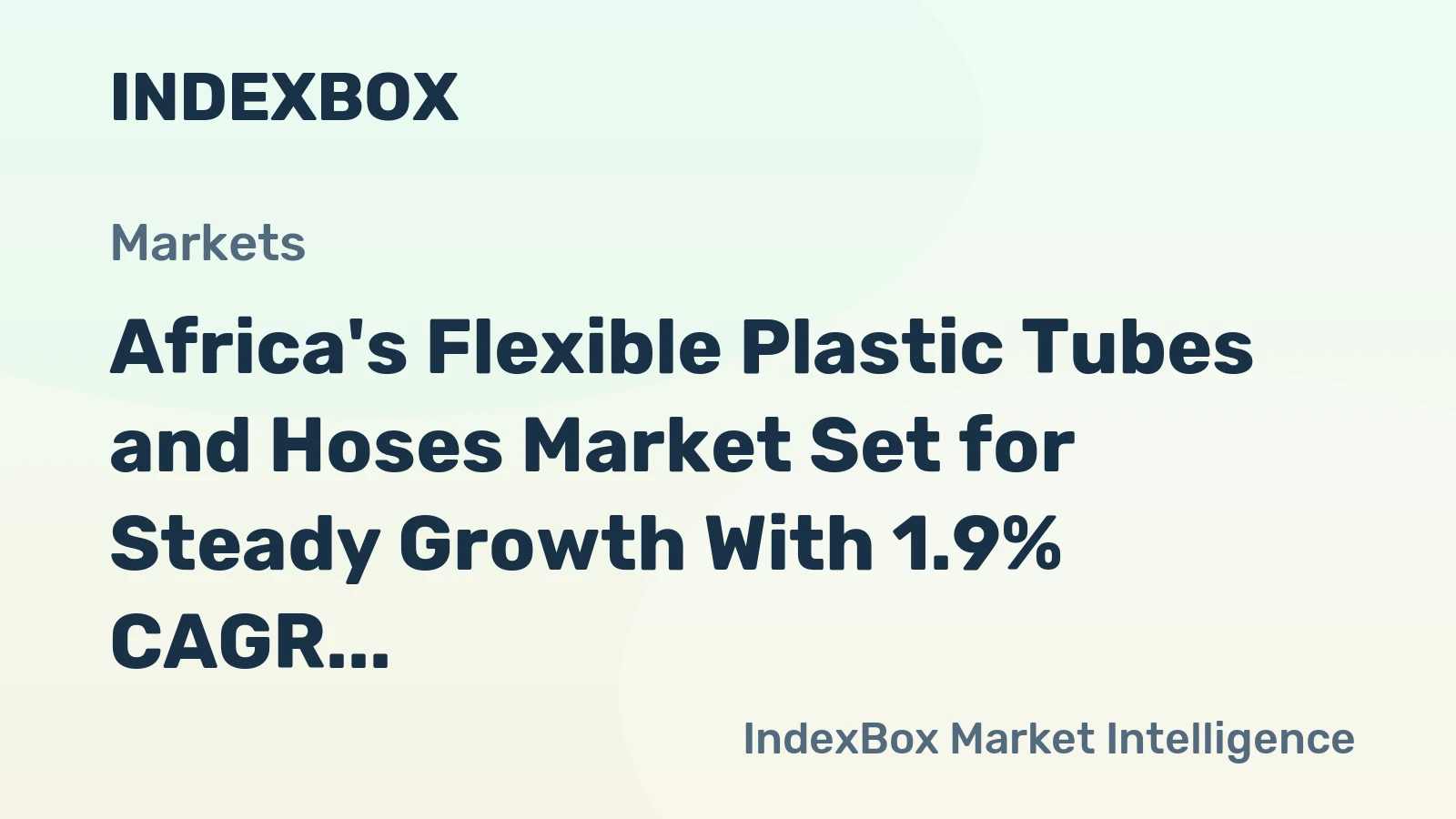 Africa's Flexible Plastic Tubes and Hoses Market Set for Steady Growth With 1.9% CAGR in Value