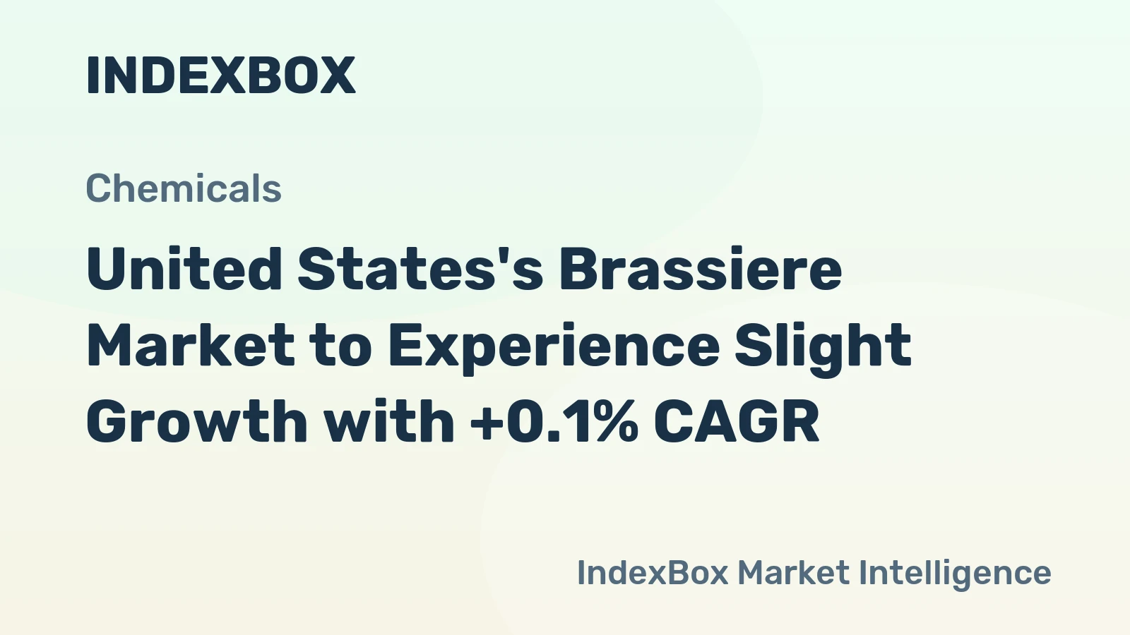 United States's Brassiere Market to Experience Slight Growth with +0.1% CAGR