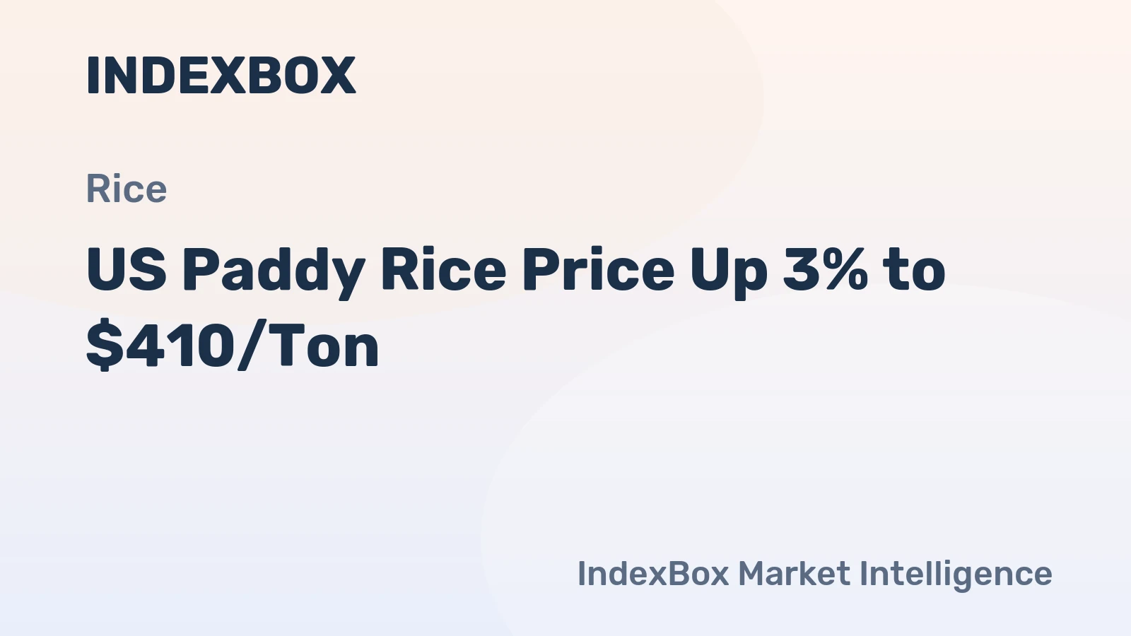 US Paddy Rice Price Up 3% to $410/Ton