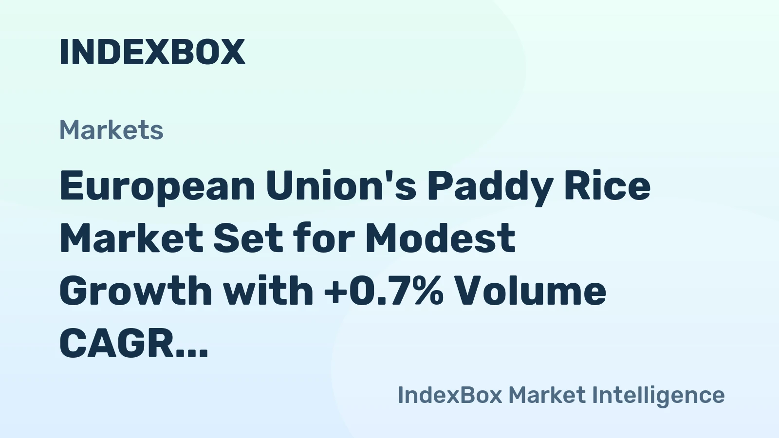 European Union's Paddy Rice Market Set for Modest Growth with +0.7% Volume CAGR Through 2035