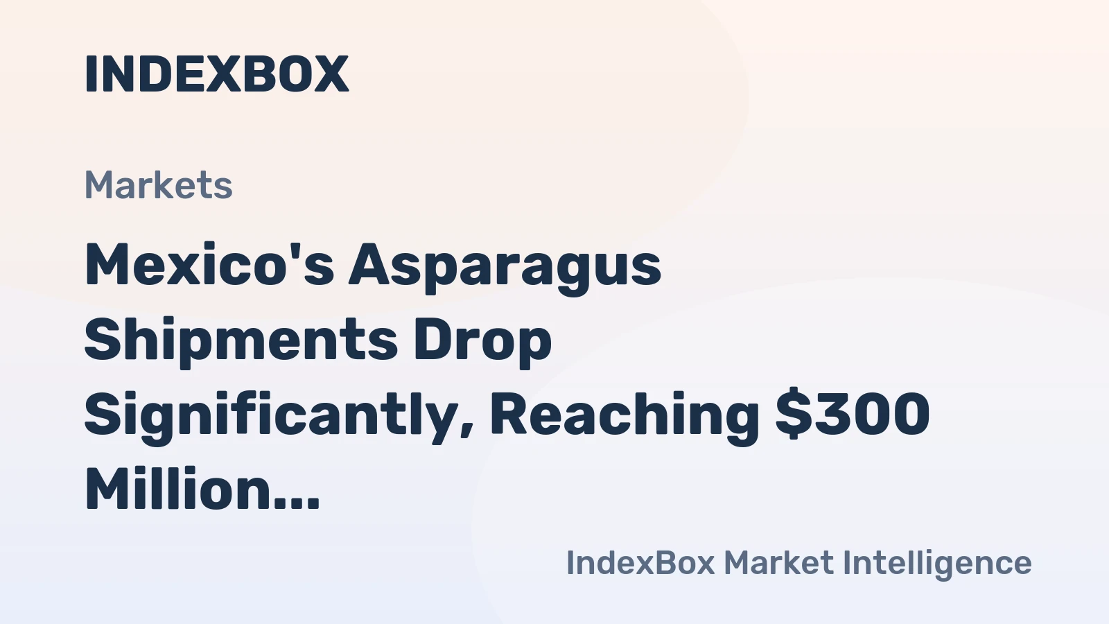 Mexico's Asparagus Shipments Drop Significantly, Reaching $300 Million in 2023