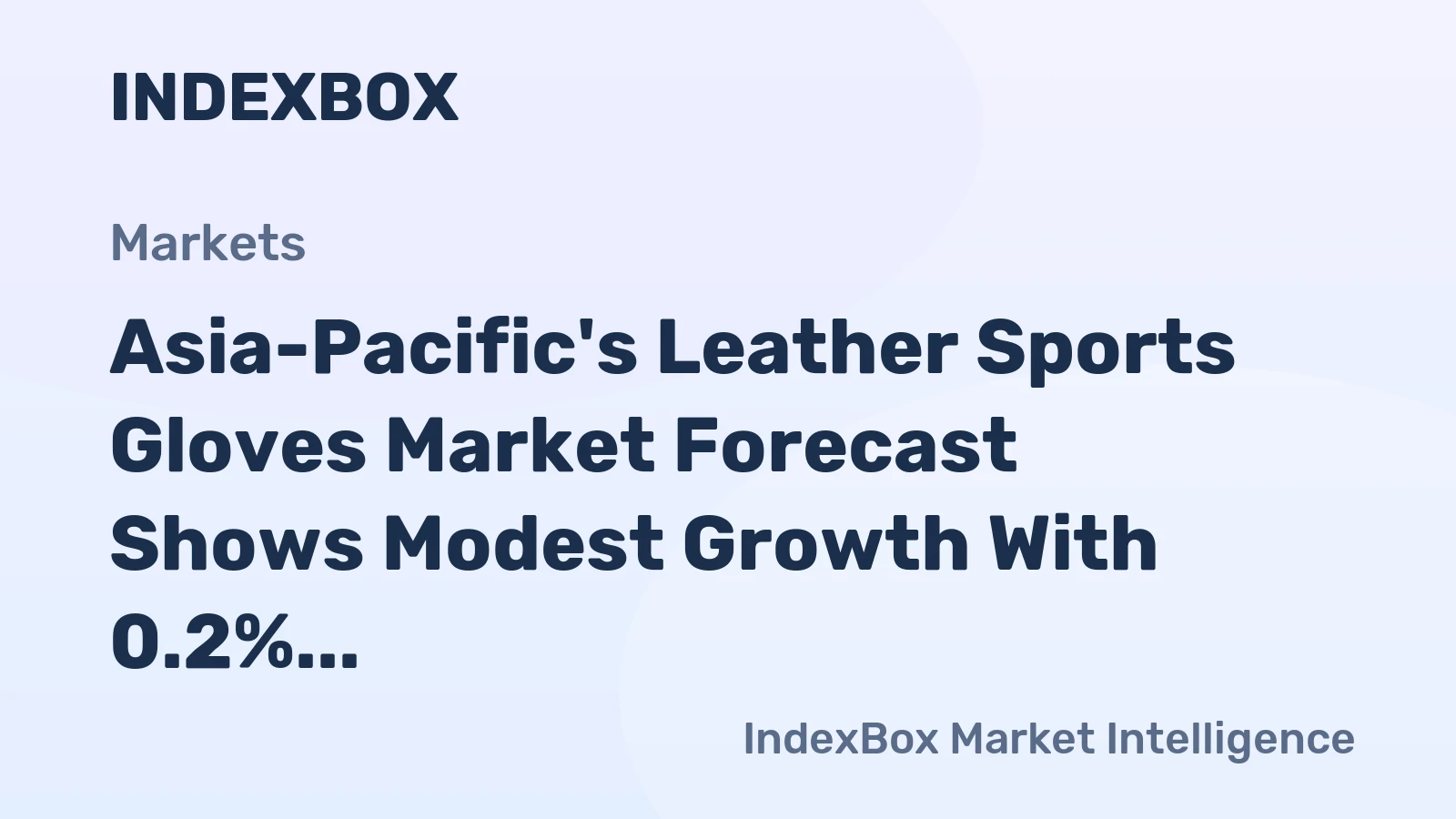 Asia-Pacific's Leather Sports Gloves Market Forecast Shows Modest Growth With 0.2% CAGR Through 2035