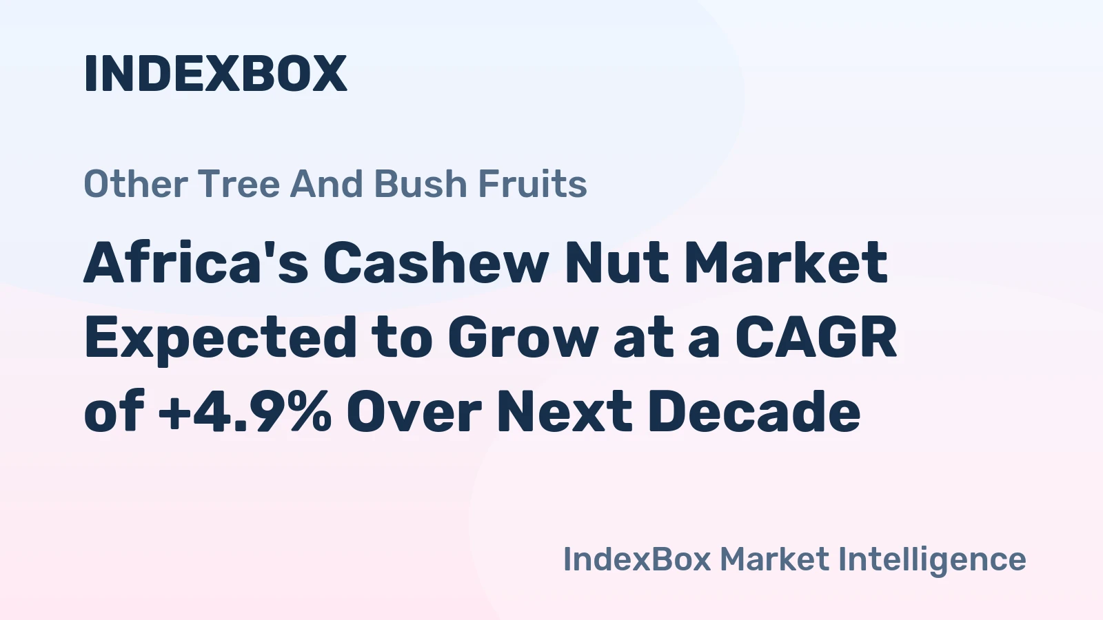 Africa's Cashew Nut Market Expected to Grow at a CAGR of +4.9% Over Next Decade