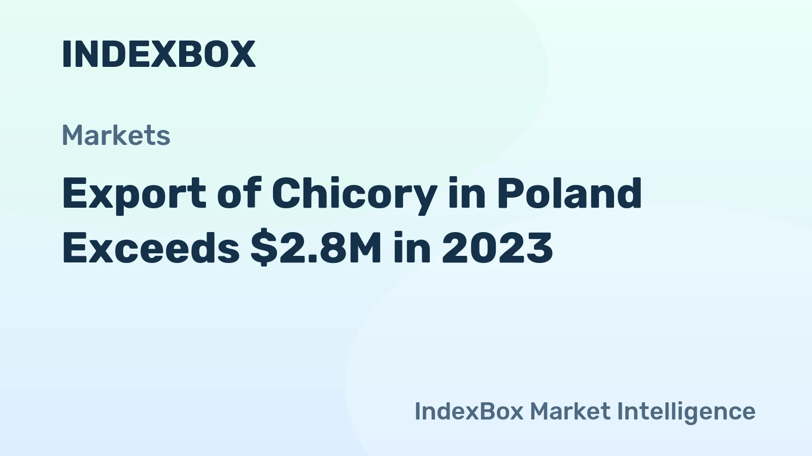 Export of Chicory in Poland Exceeds $2.8M in 2023