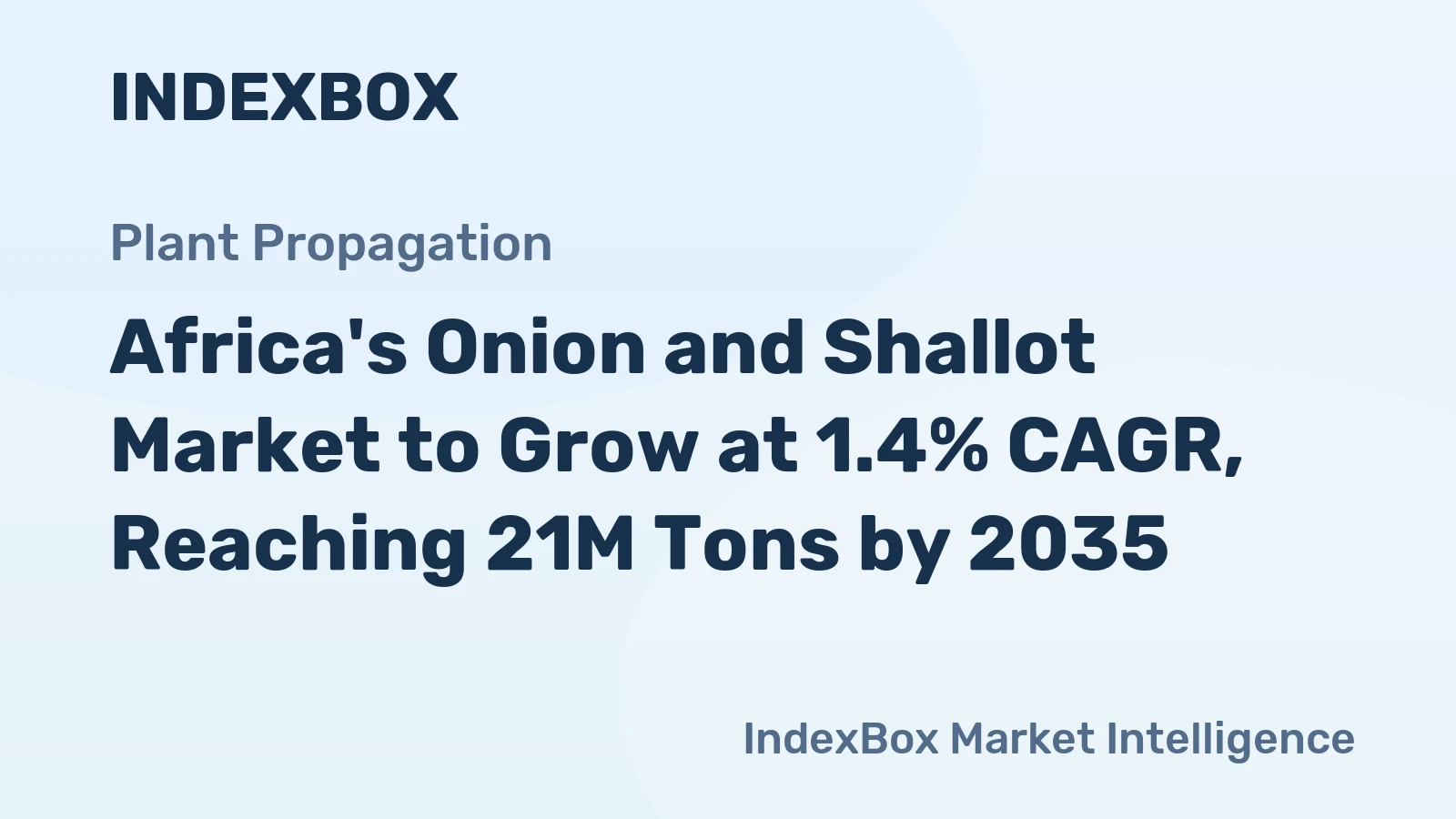 Africa's Onion and Shallot Market to Grow at 1.4% CAGR, Reaching 21M Tons by 2035