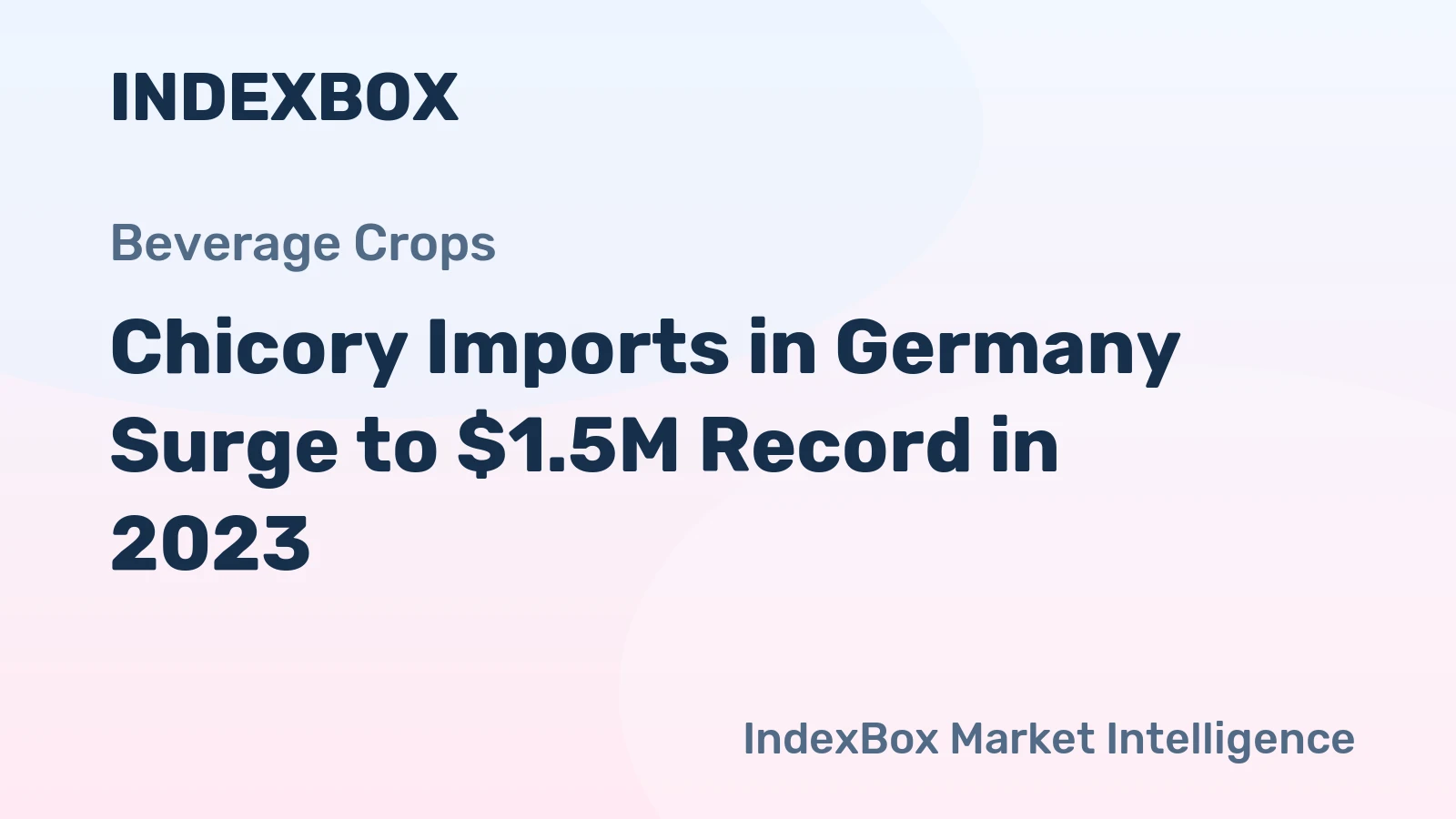 Chicory Imports in Germany Surge to $1.5M Record in 2023