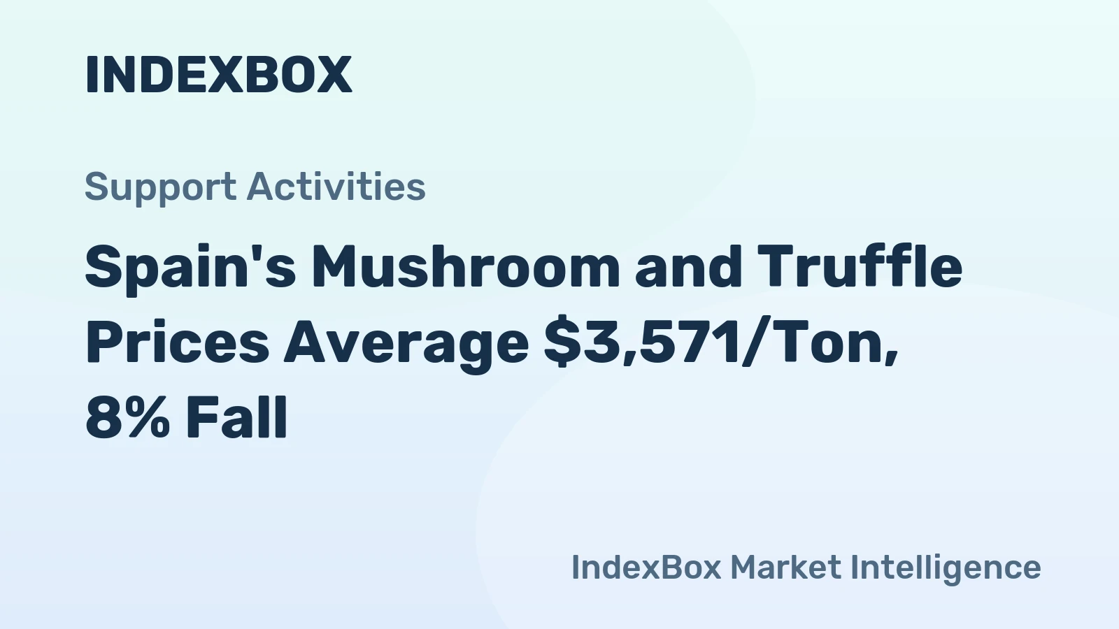 Spain's Mushroom and Truffle Prices Average $3,571/Ton, 8% Fall
