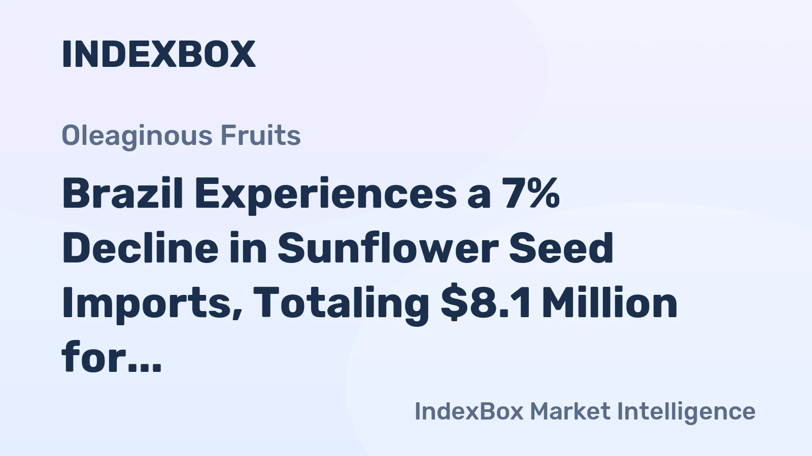 Brazil Experiences a 7% Decline in Sunflower Seed Imports, Totaling $8.1 Million for 2024