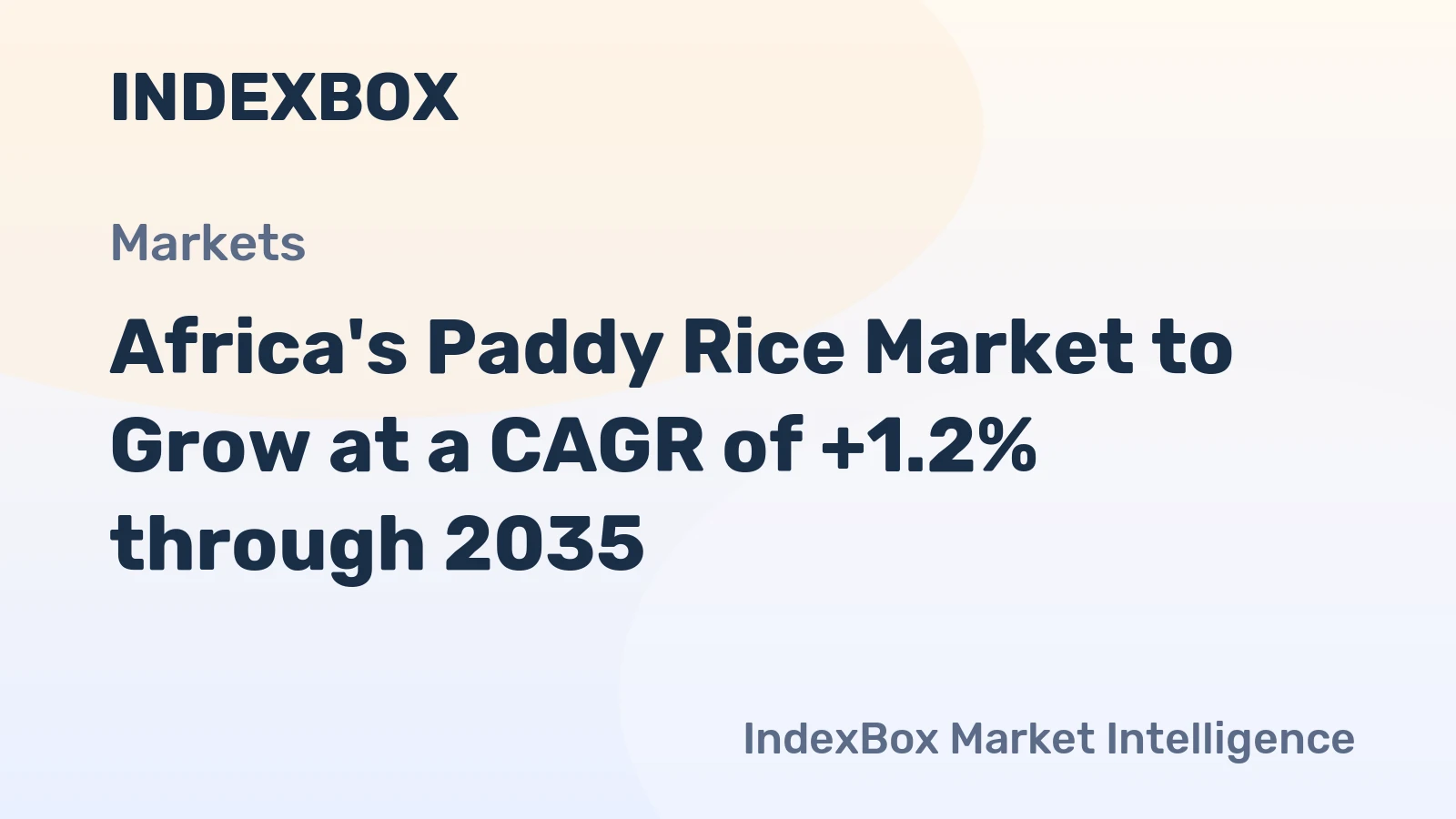 Africa's Paddy Rice Market to Grow at a CAGR of +1.2% through 2035