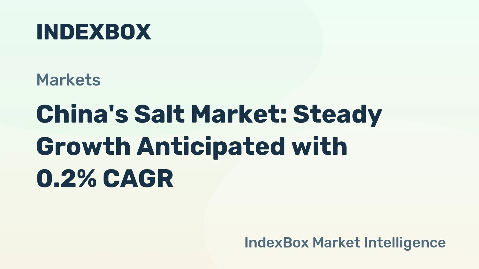 China's Salt Market: Steady Growth Anticipated with 0.2% CAGR