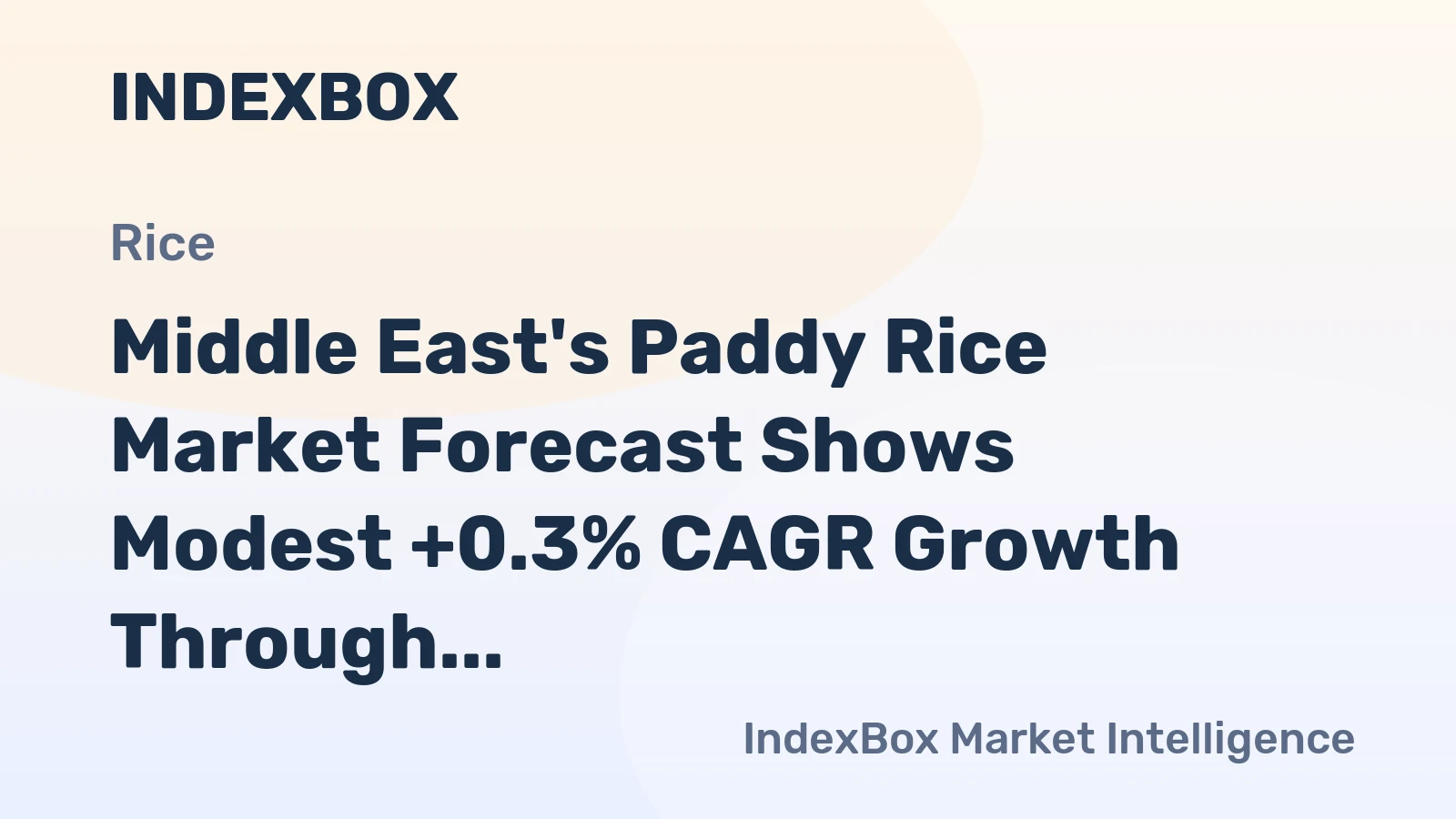 Middle East's Paddy Rice Market Forecast Shows Modest +0.3% CAGR Growth Through 2035