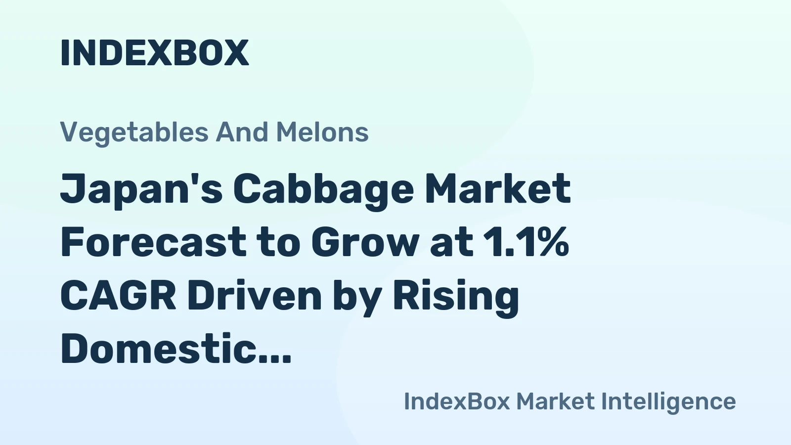 Japan's Cabbage Market Forecast to Grow at 1.1% CAGR Driven by Rising Domestic Demand