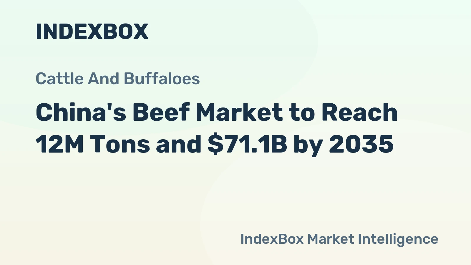 China's Beef Market to Reach 12M Tons and $71.1B by 2035