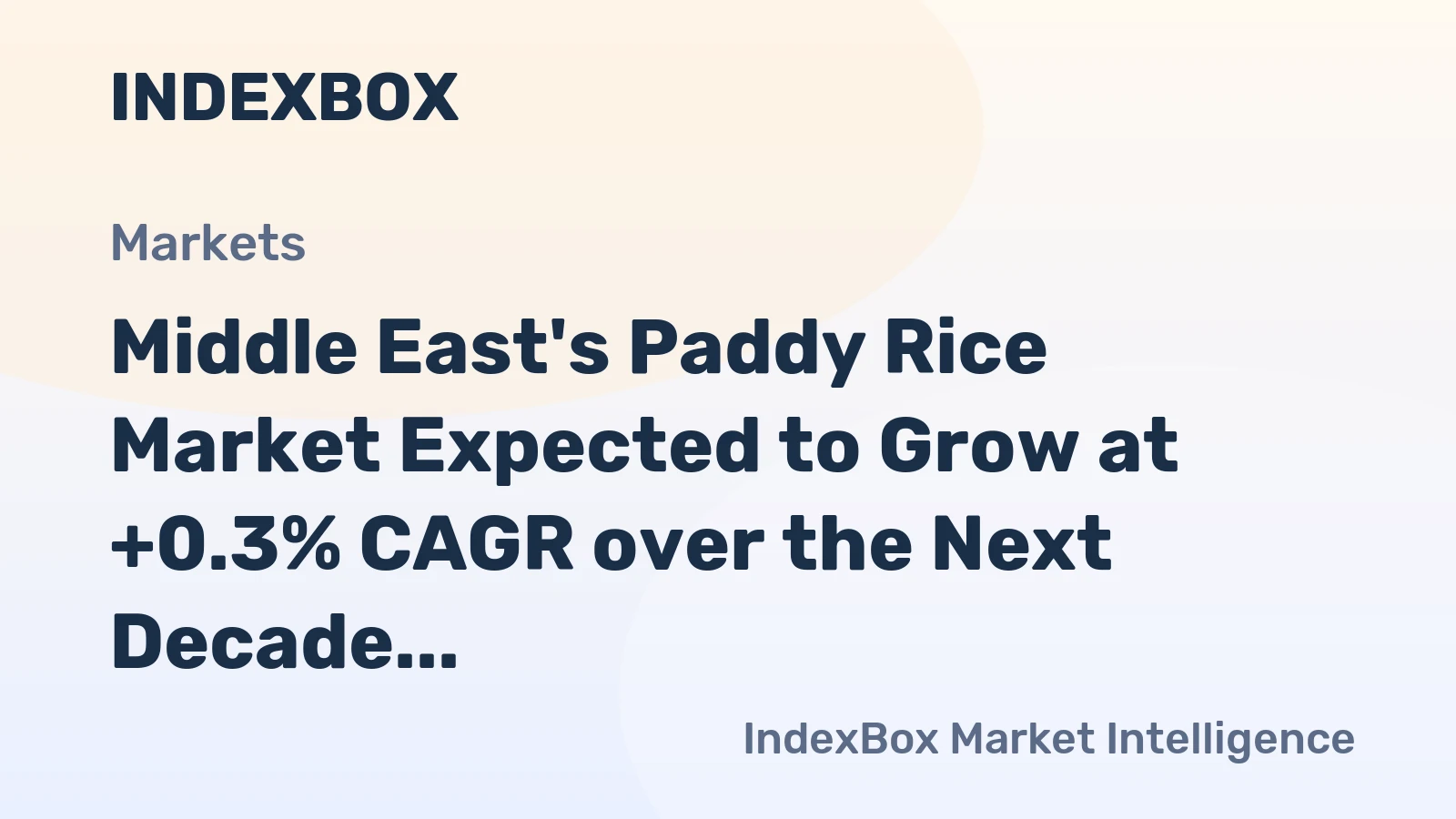 Middle East's Paddy Rice Market Expected to Grow at +0.3% CAGR over the Next Decade