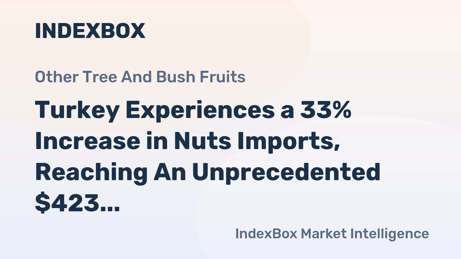 Turkey Experiences a 33% Increase in Nuts Imports, Reaching An Unprecedented $423 Million in 2024