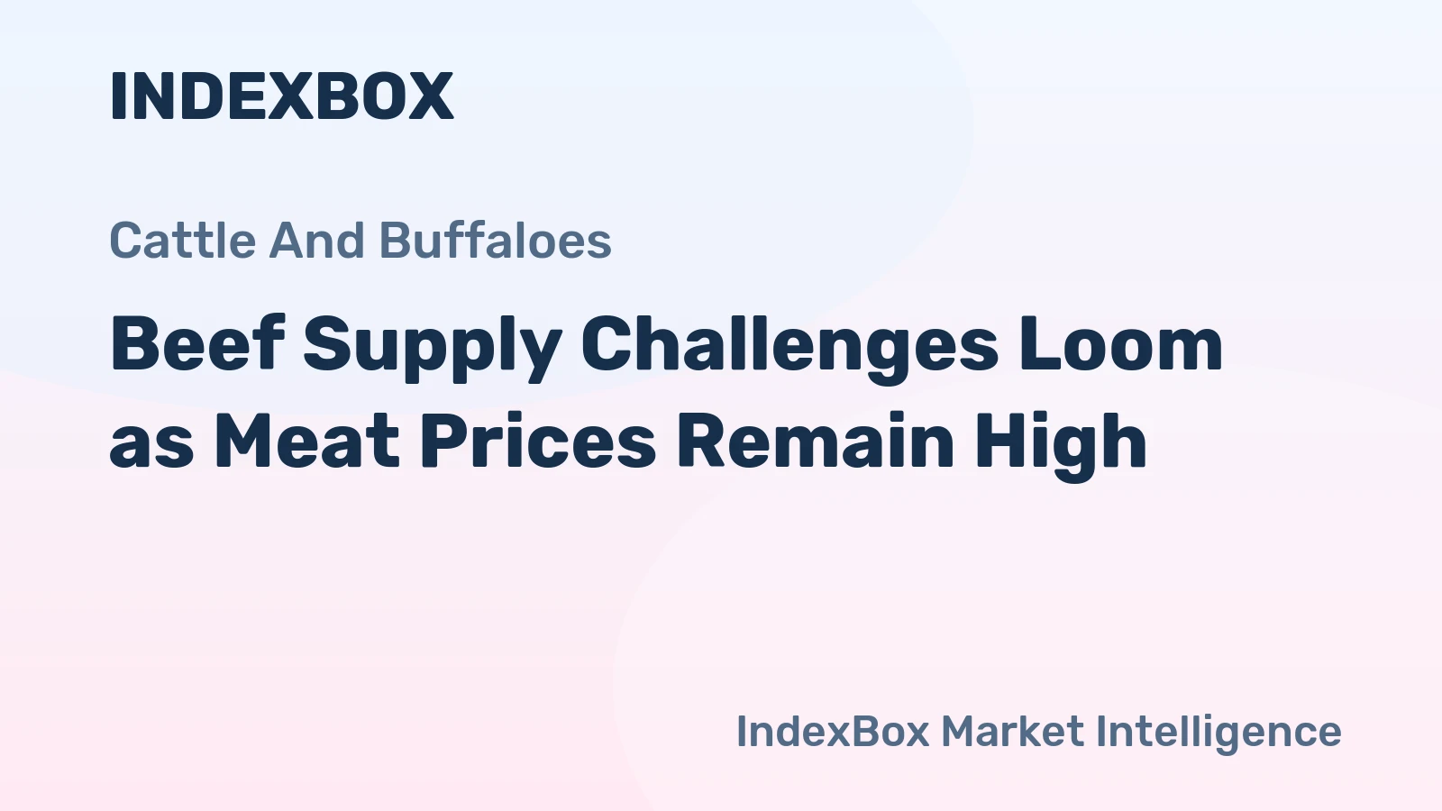 Beef Supply Challenges Loom as Meat Prices Remain High