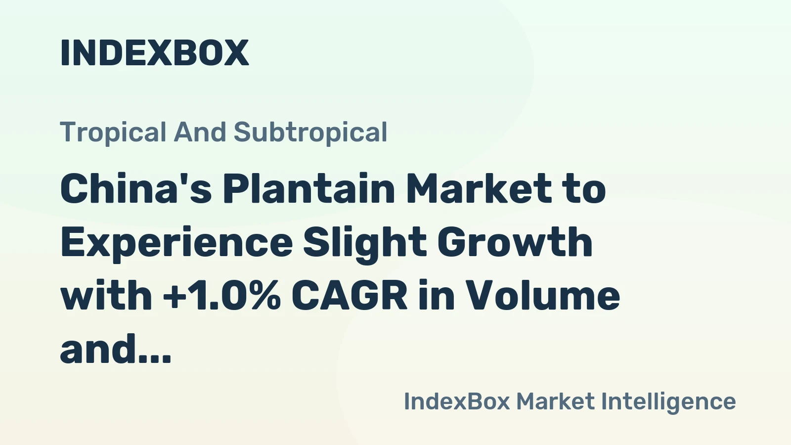 China's Plantain Market to Experience Slight Growth with +1.0% CAGR in Volume and +1.5% CAGR in Value from 2024-2035
