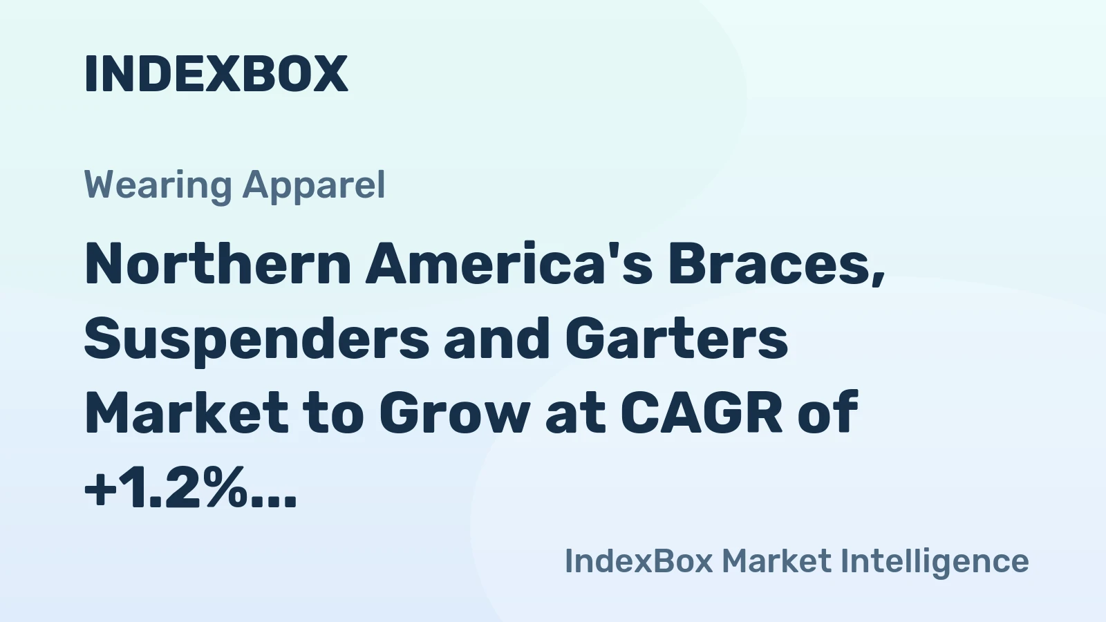 Northern America's Braces, Suspenders and Garters Market to Grow at CAGR of +1.2% from 2024 to 2035