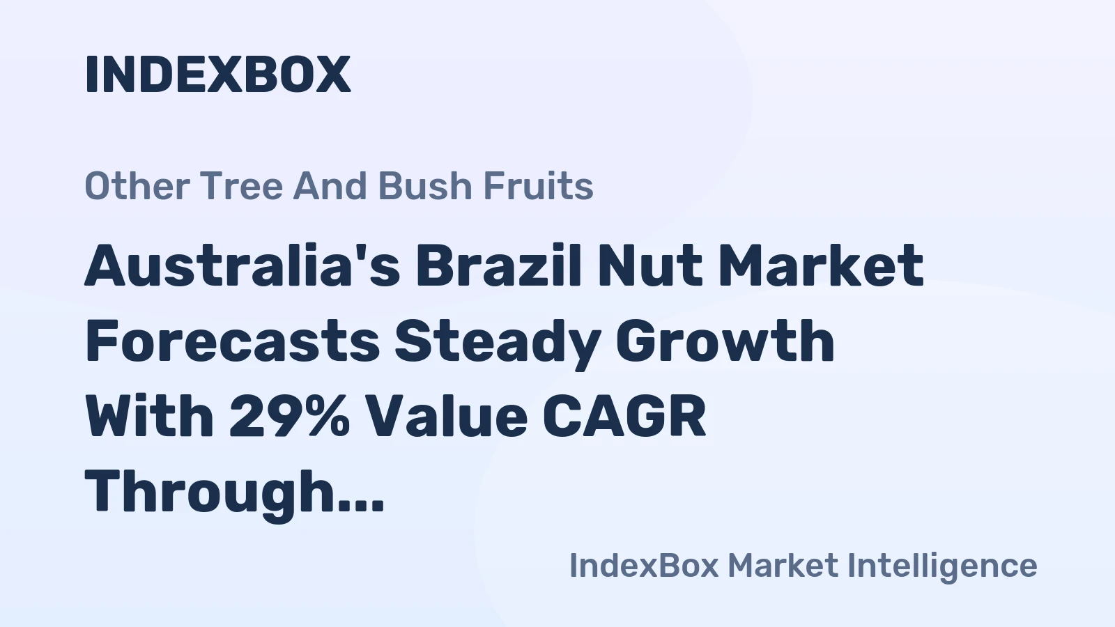 Australia's Brazil Nut Market Forecasts Steady Growth With 29% Value CAGR Through 2035