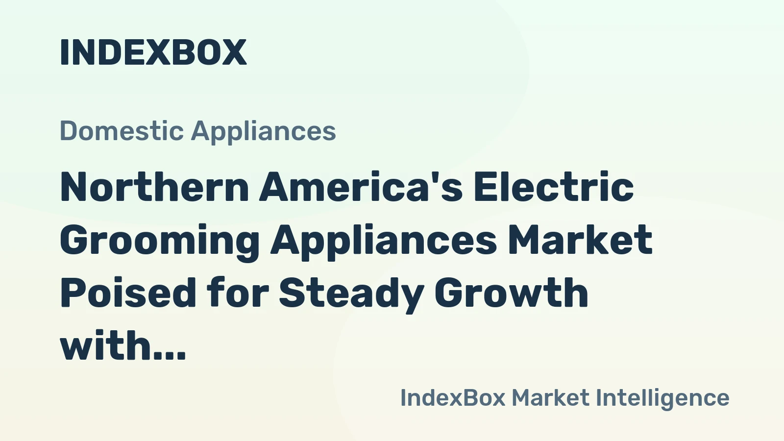 Northern America's Electric Grooming Appliances Market Poised for Steady Growth with 1.7% CAGR in Value