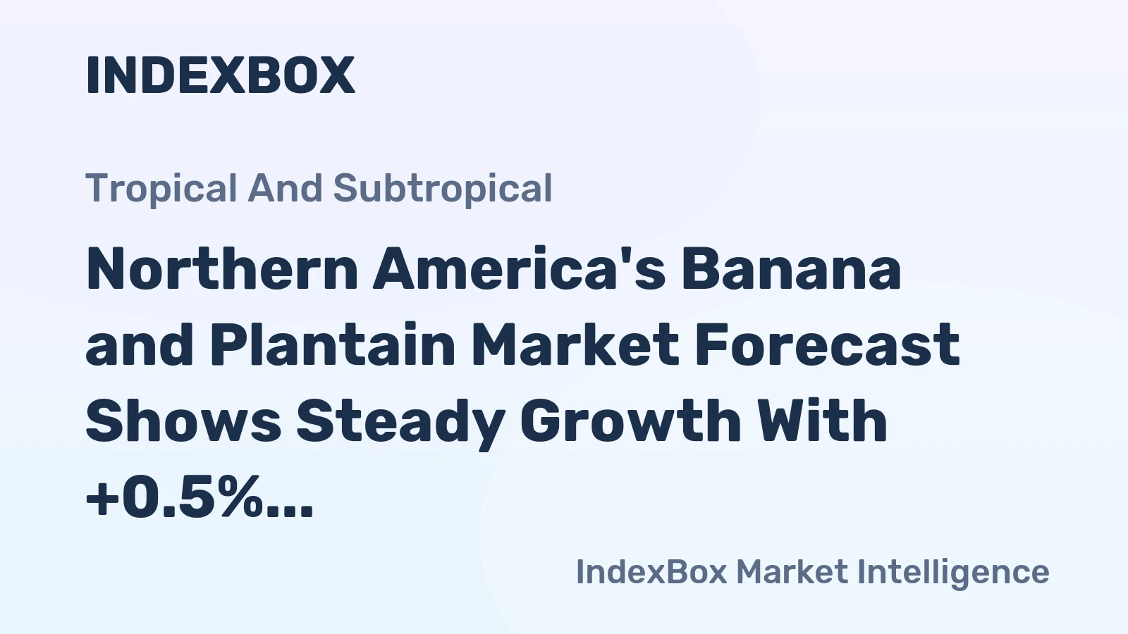 Northern America's Banana and Plantain Market Forecast Shows Steady Growth With +0.5% Volume CAGR Through 2035