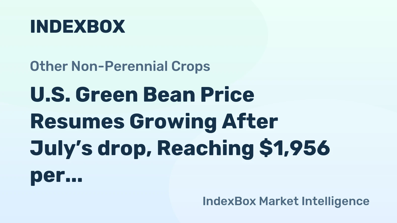 U.S. Green Bean Price Resumes Growing After July’s drop, Reaching $1,956 per Ton