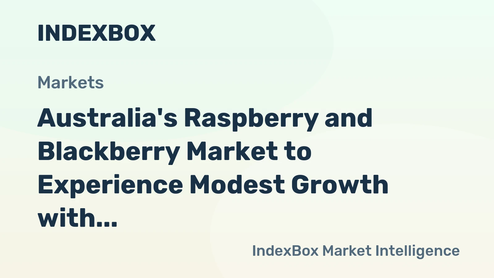 Australia's Raspberry and Blackberry Market to Experience Modest Growth with +1.5% CAGR