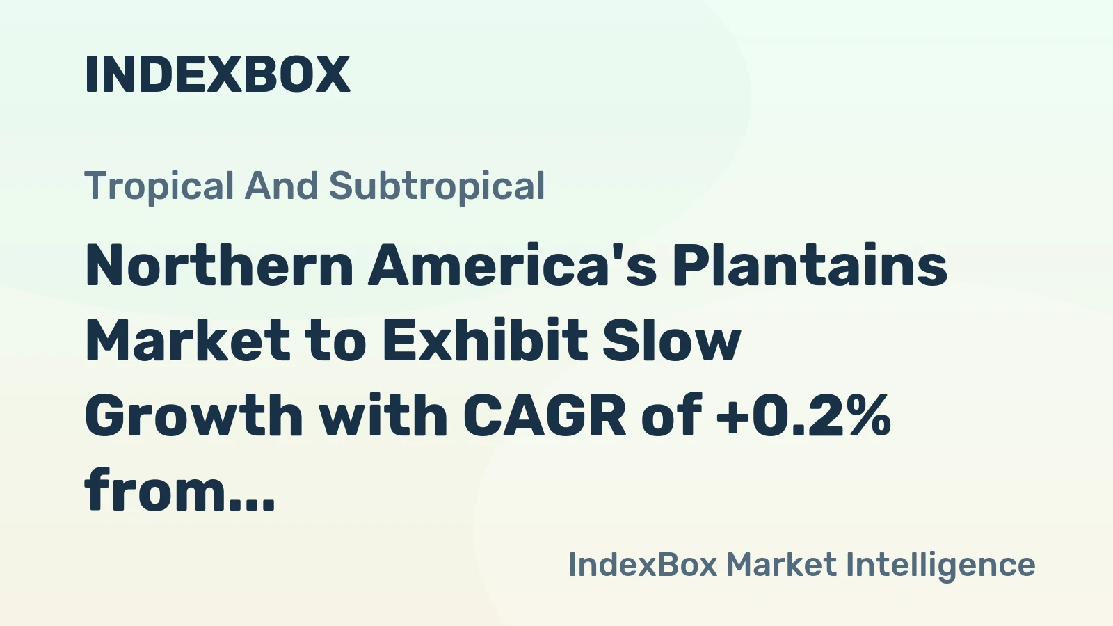 Northern America's Plantains Market to Exhibit Slow Growth with CAGR of +0.2% from 2024 to 2035
