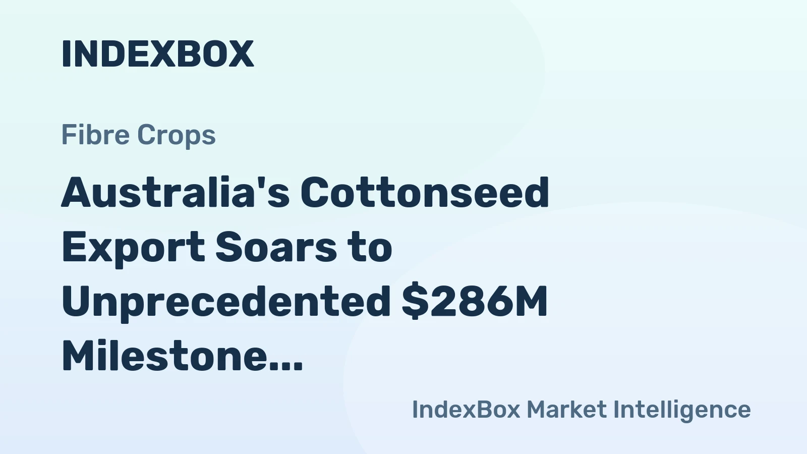 Australia's Cottonseed Export Soars to Unprecedented $286M Milestone in 2024