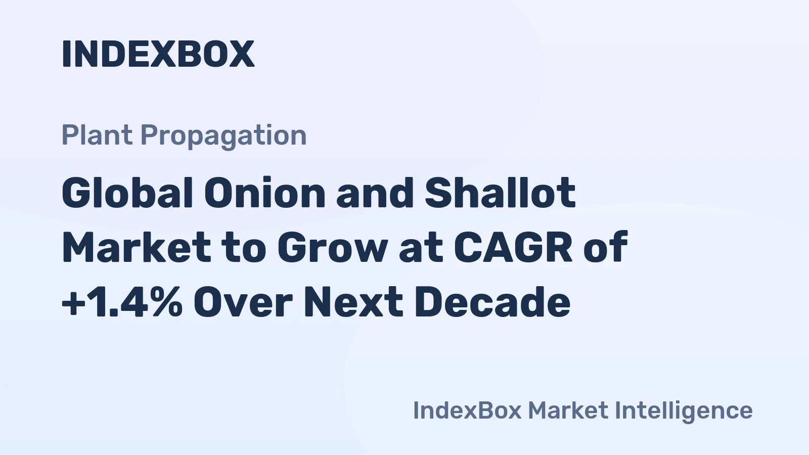 Global Onion and Shallot Market to Grow at CAGR of +1.4% Over Next Decade