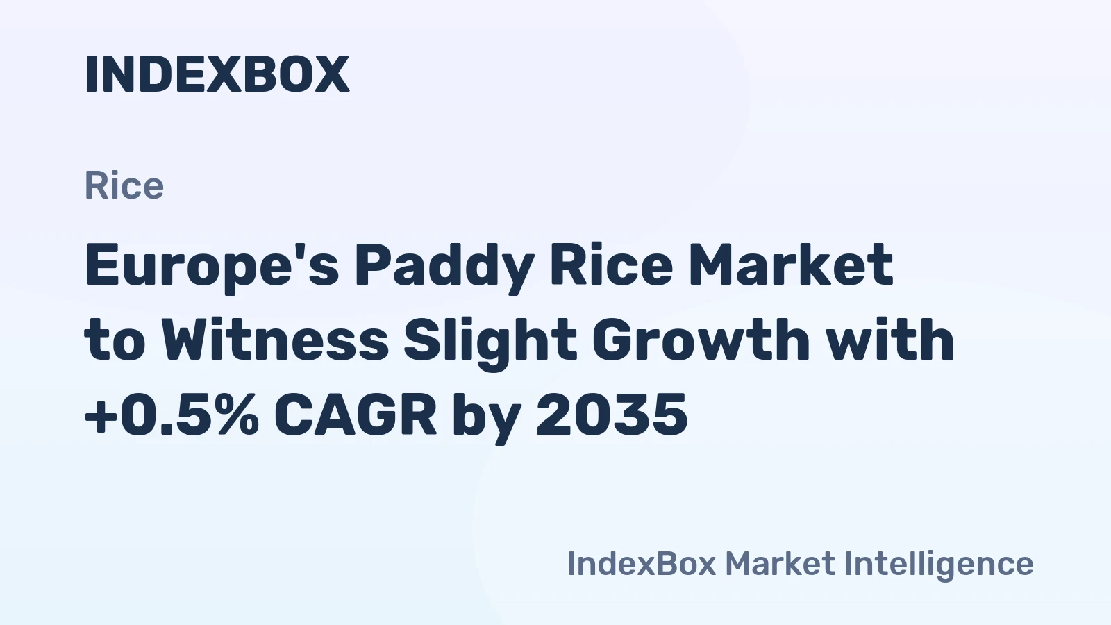 Europe's Paddy Rice Market to Witness Slight Growth with +0.5% CAGR by 2035