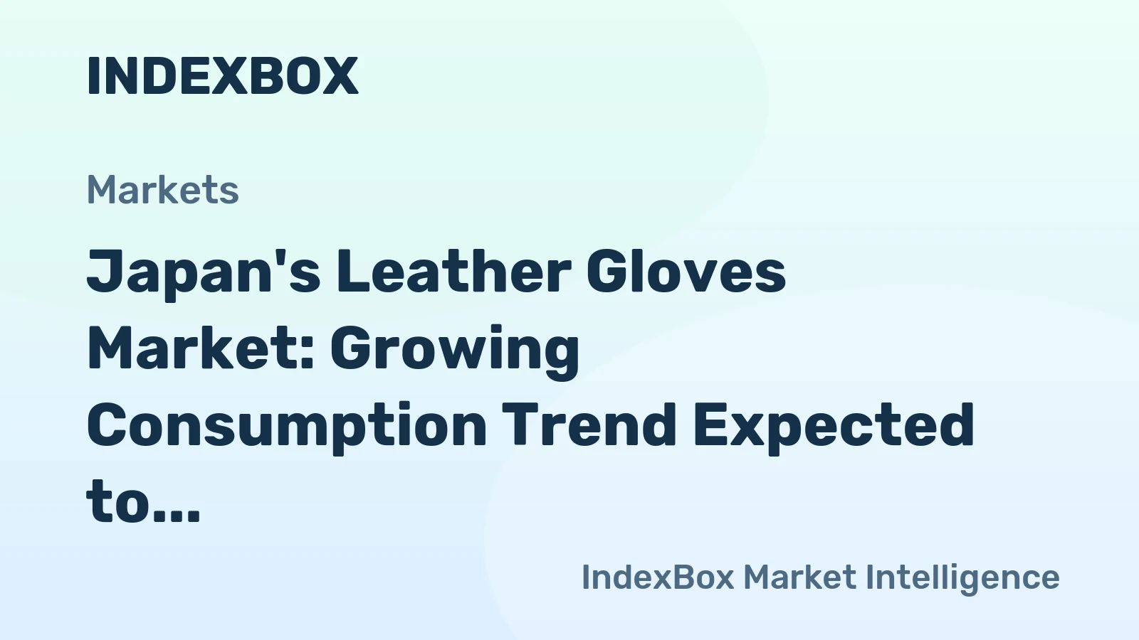 Japan's Leather Gloves Market: Growing Consumption Trend Expected to Reach 6M Pairs and $103M by 2035