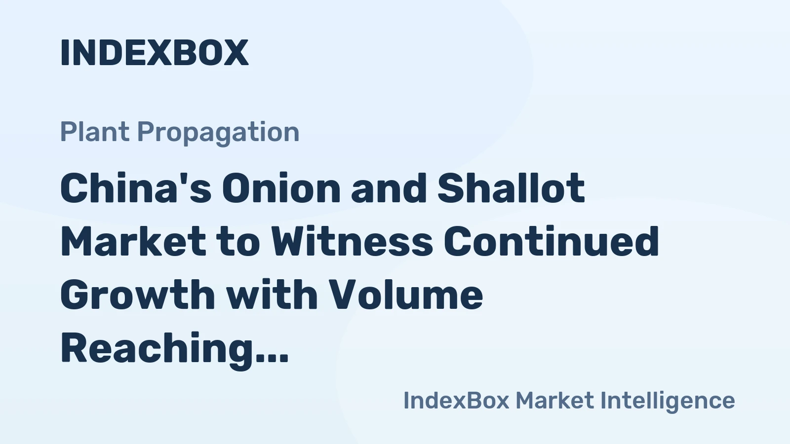 China's Onion and Shallot Market to Witness Continued Growth with Volume Reaching 25M Tons and Value Reaching $19.1B by 2035