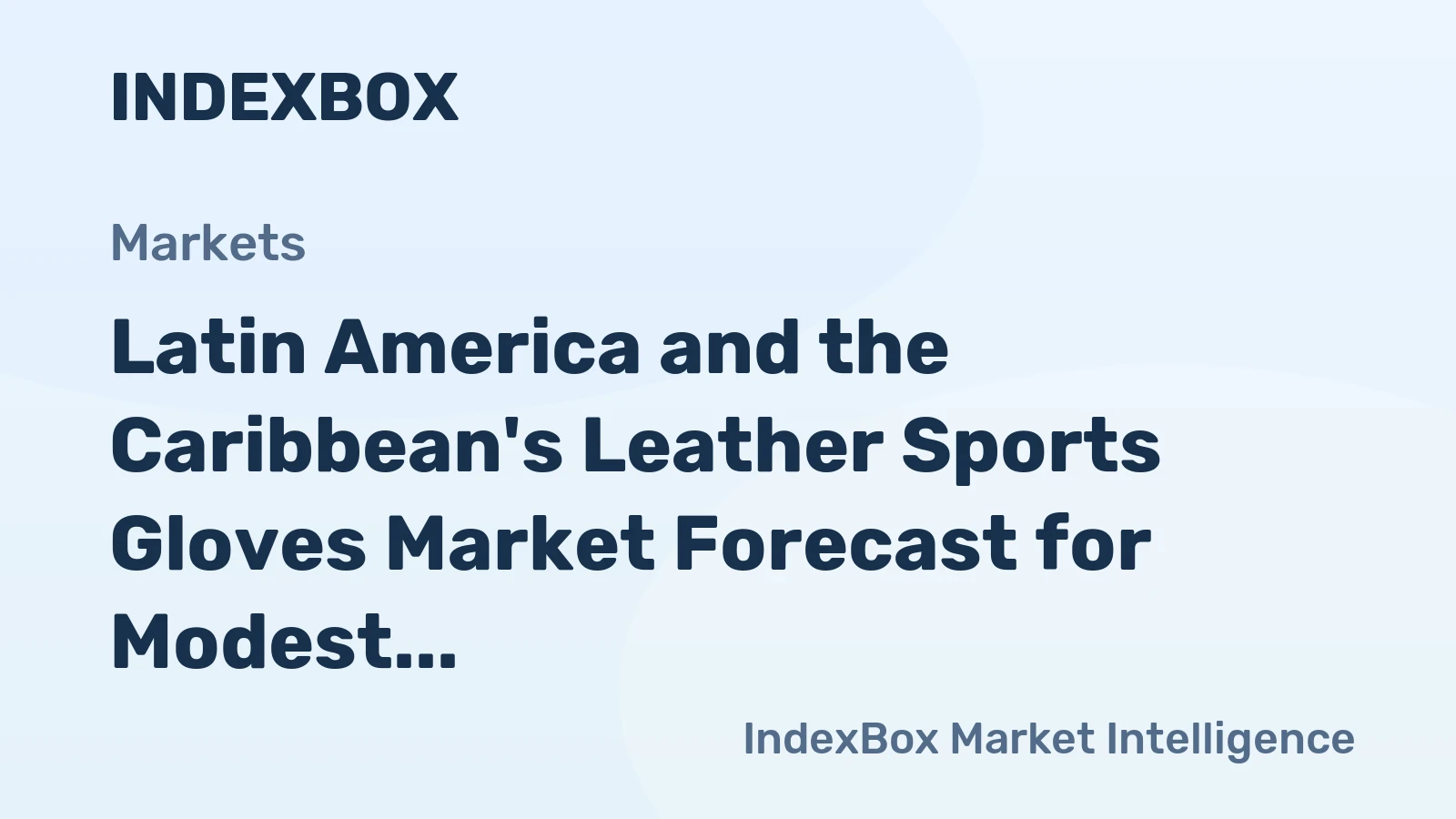 Latin America and the Caribbean's Leather Sports Gloves Market Forecast for Modest Growth With a 10% CAGR