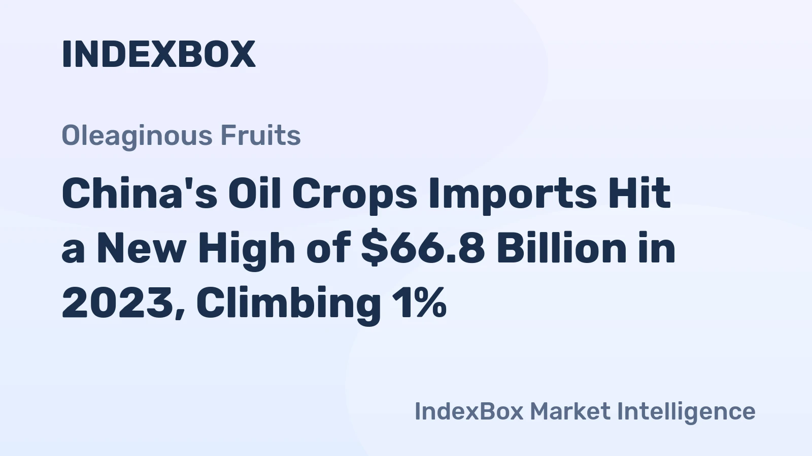 China's Oil Crops Imports Hit a New High of $66.8 Billion in 2023, Climbing 1%