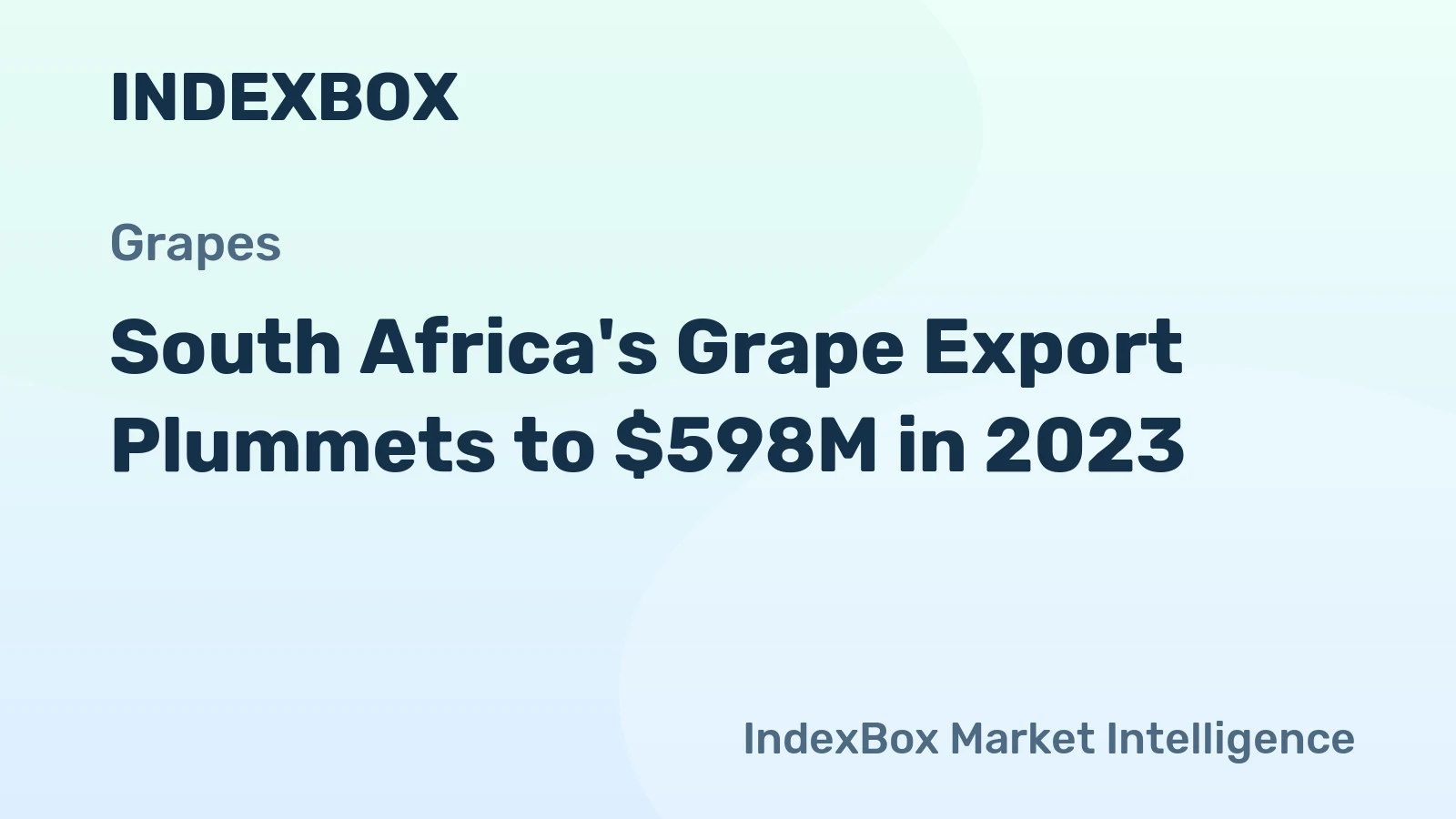 South Africa's Grape Export Plummets to $598M in 2023