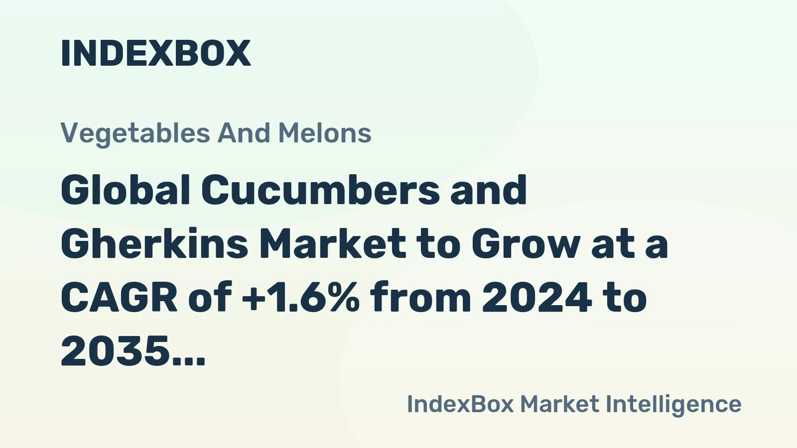 Global Cucumbers and Gherkins Market to Grow at a CAGR of +1.6% from 2024 to 2035