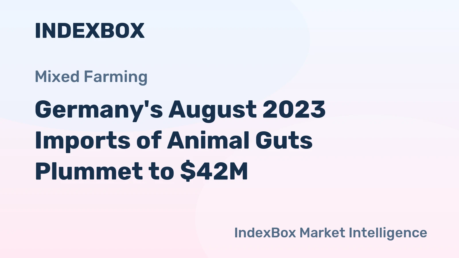 Germany's August 2023 Imports of Animal Guts Plummet to $42M